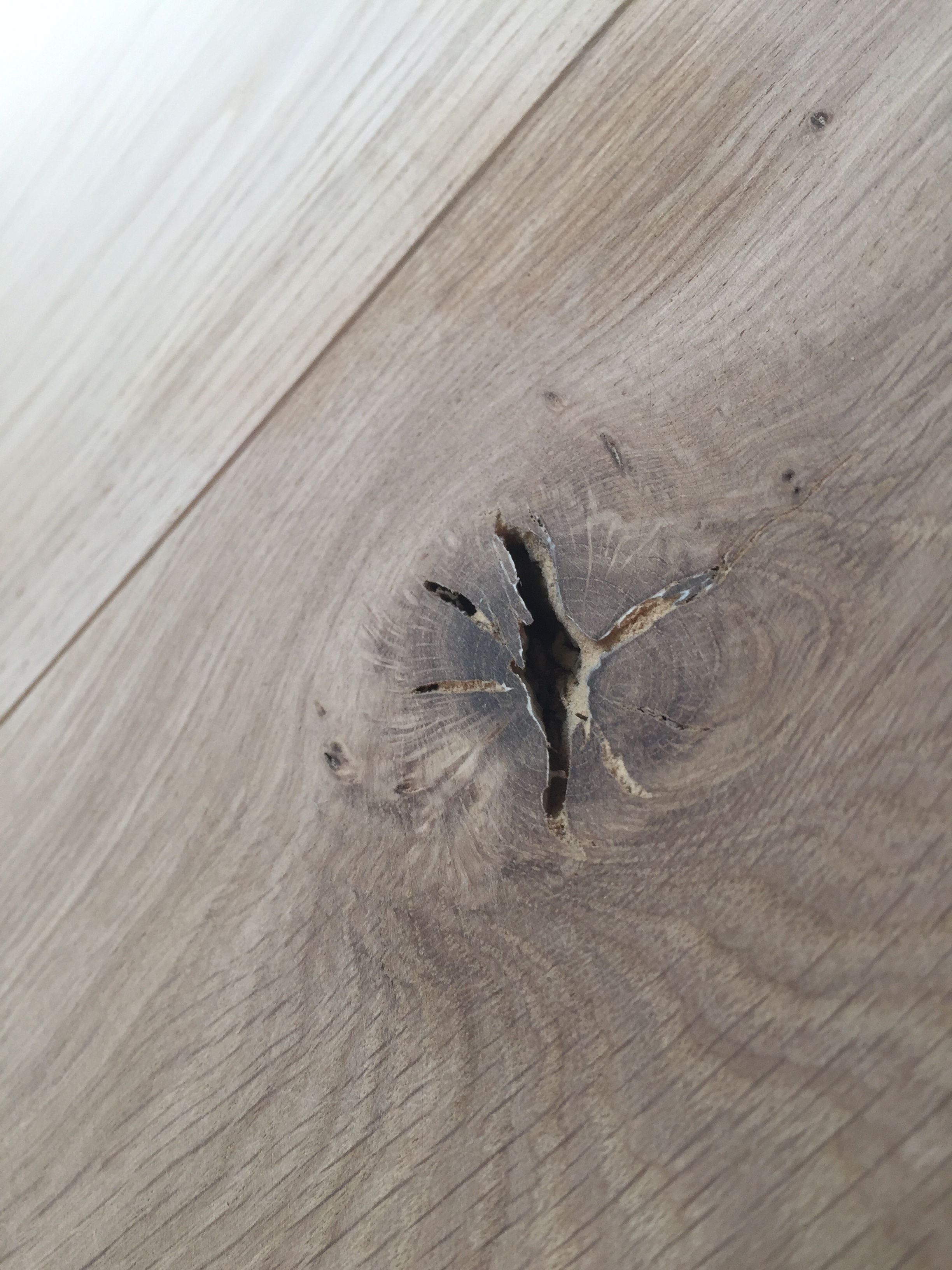 Wood Floor Disaster! | Rolin Cleaning Services